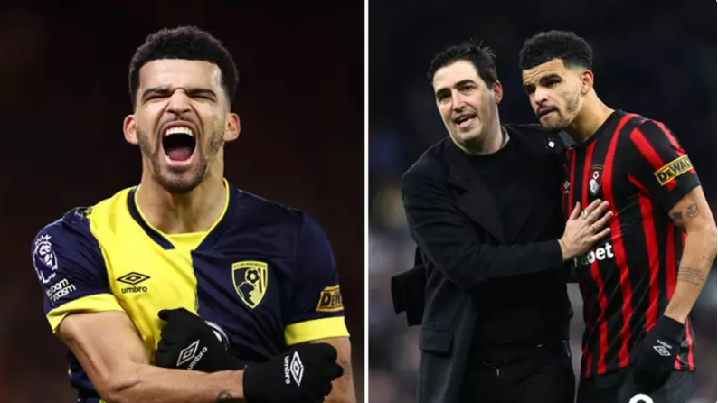 Newcastle dovodi bivšeg igrača Liverpoola: Redsi će dobiti 20% od transfera Newcastle dovodi bivšeg igrača Liverpoola: Redsi će dobiti 20% od transfera